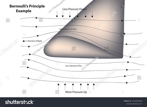 Physics Illustration Bernoullis Principle Stock Vector Royalty Free 2313530729 Shutterstock