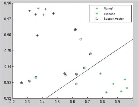 Svm Classification Between Normal Data And Disease Data Download