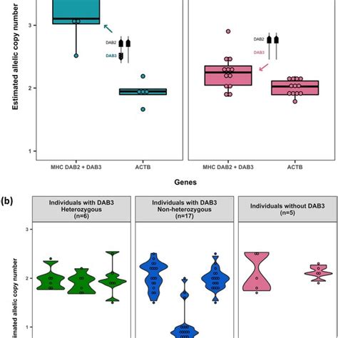 A Combined Boxplot And Dotplot Of The Total Allelic Copy Numbers Of