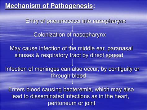 Ppt Streptococcus Pneumoniae Powerpoint Presentation Free Download