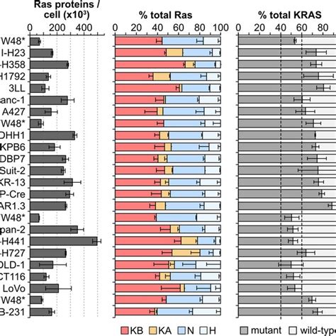 Imbalanced Ratios Of Mutant Wild Type Ras Proteins Direct Quantitation