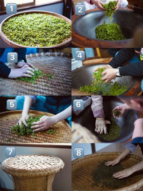 Wuyuan Green Tea Making Technique Jiangxi 2025 The China Journey