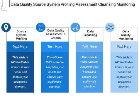 Data Quality Assessment Report Template