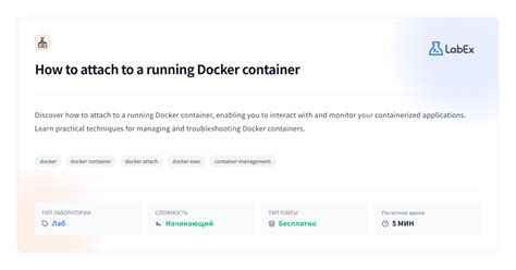 Подключение к запущенному контейнеру Docker Labex