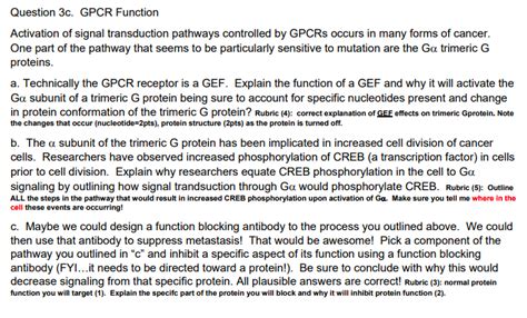 Solved Question 3c Gpcr Function Activation Of Signal