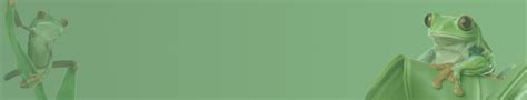 Service Level Agreement Tinyfrog Technologies