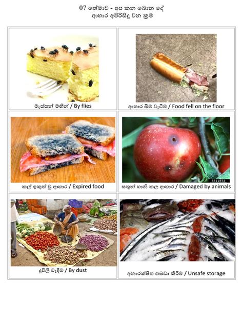 ආහාර අපිරිසිදු වීම Pdf