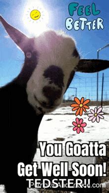 Funny Feel Better Memes S Tenor