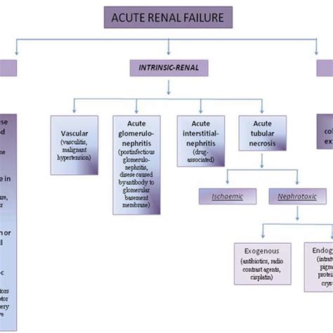 Akin Criteria For Classification Of Aki Adapted With Permission From