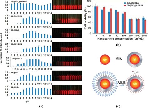 A Normalized Fluorescence Intensity Of Qds Capped With Different Download Scientific Diagram