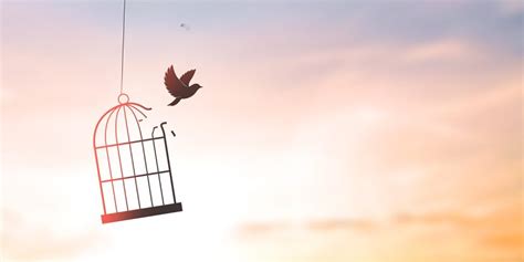 Identifying Sex Trafficked Patients Babe Of Human Ecology UWMadison