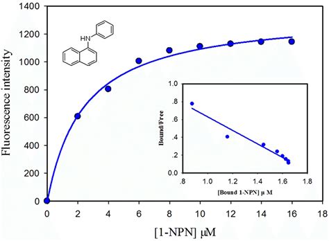 Binding Curve Of 1 Npn To Gmolpbp1 And Its Resulting Scatchard Plot Download Scientific Diagram
