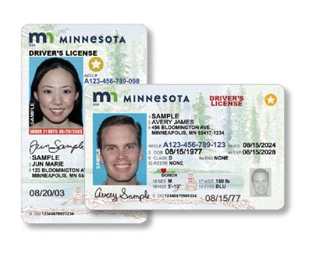 Drivers License State Id Cards Washington County Mn Official
