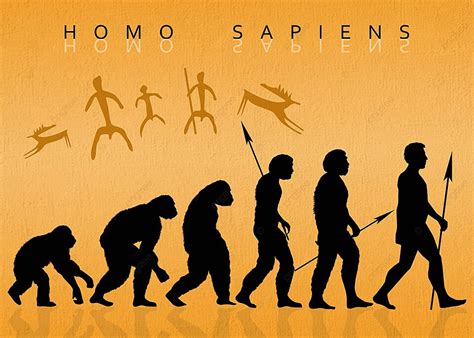 Fondo Homo Sapiens Evolución Humana Historia Ilustración Foto E Imagen