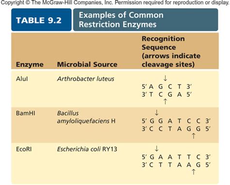 Biotechnology Flashcards Quizlet