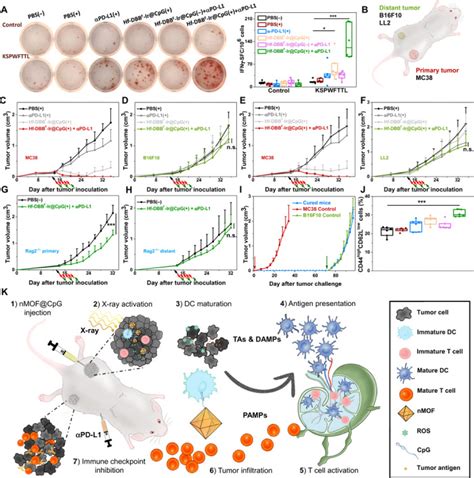 Nanoscale Metal Organic Frameworks For X Ray Activated In Situ Cancer Vaccination Pmc