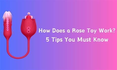 How Does A Rose Toy Work 5 Tips You Must Know