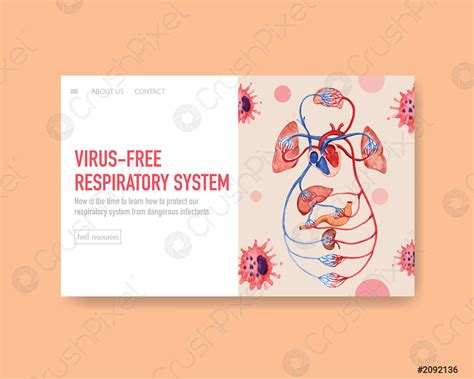 Respiratory System Design For Website Template With Human Anatomy Of