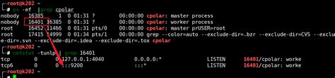 Cpolar内网穿墙使用 阿里云开发者社区