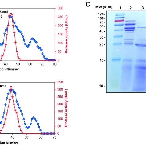 Purification Procedure Of Sh21 A The Elution Profiles Of Sepharose Download Scientific