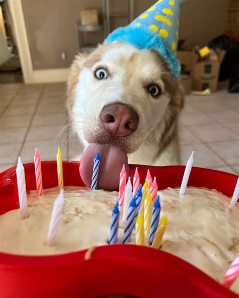 I Got Frozen Fossil Rblooket