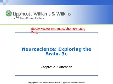 Ppt Neuroscience Exploring The Brain 3e Powerpoint Presentation Free Download Id 5580610