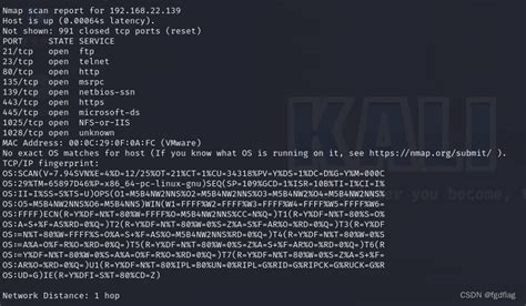 windows漏洞渗透实验：easyfilesharing与metasploit实战 csdn博客