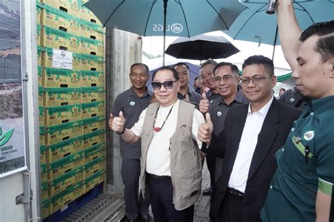 First Export Of Md2 Pineapples Marks Milestone In Sabahs Agricultural Diversification Borneovox