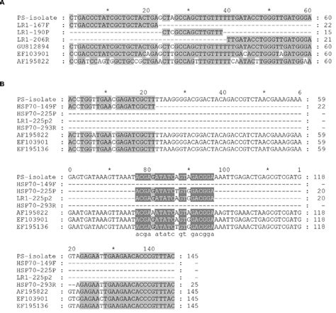 A Multiple Nucleotide Sequence Alignments Of The Partial Rna Download Scientific Diagram