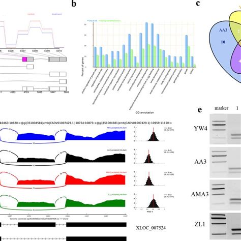 exon skipping events and differentially expressed exons found in b