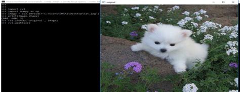 Anaconda OpenCV How To Install Anaconda OpenCV Examples