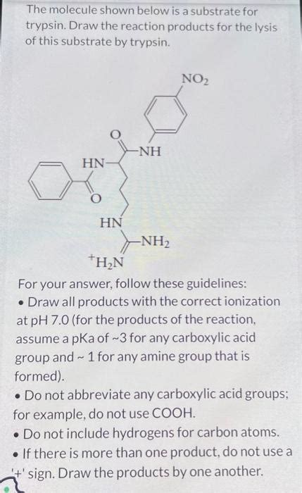 Solved The Molecule Shown Below Is A Substrate For Trypsin Chegg Com