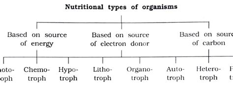 Nutritional Types Of Microorganisms Vrogue Co