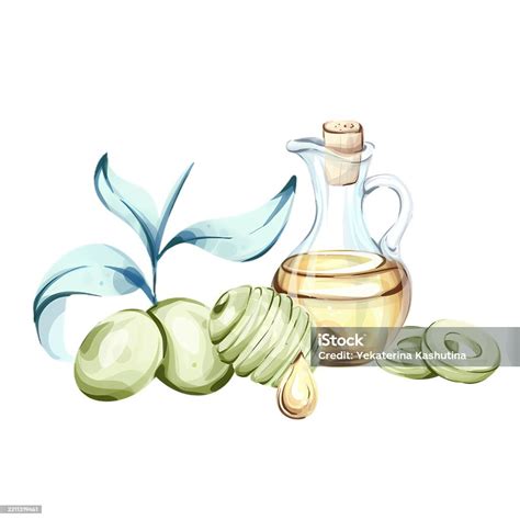 이탈리아 요리와 자연에서 영감을 받은 올리브와 올리브 오일의 섬세한 수채화 일러스트레이션 건강한 생활방식에 대한 스톡 벡터 아트 및 기타 이미지 건강한 생활방식 건강한