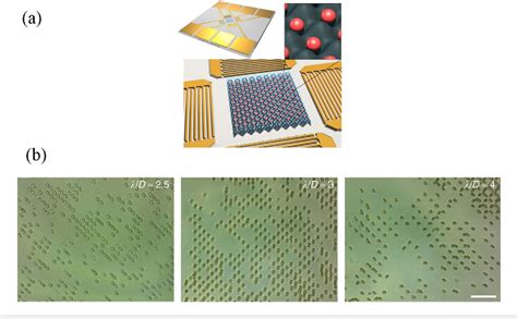 Figure 1 From Single Cell Patterning Technology For Biological Applications Semantic Scholar