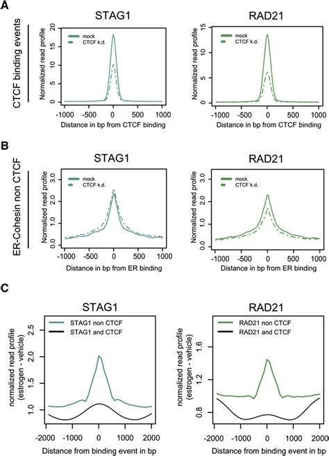 Cohesin Binding Can Be Independent Of Ctcf A Cohesin Stag1 And