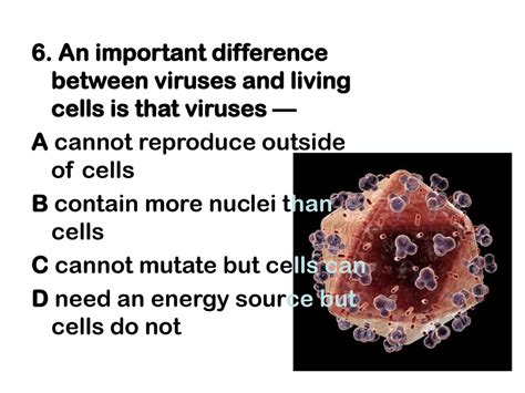 cst practice time cell biology ppt download