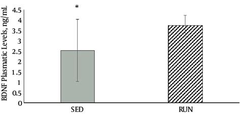 Plasma Bdnf Levels In The Sed N 7 And Run N 8 Groups Download