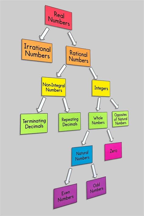 my math resources real numbers classification poster math classroom
