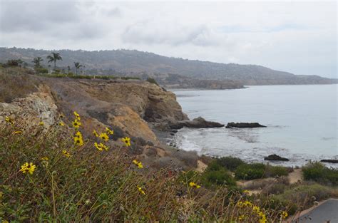 Palos Verdes Ca Palos Verdes Ca Shoreline And Cliffs Dennis Mcgee