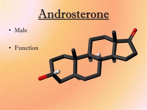 Ppt Payeng Brittney Marcela Powerpoint Presentation Free Download