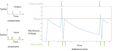 example membrane voltage over time with five input spikes reset set to