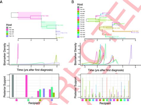 Transmission History Inference On Real Hiv Transmission Clusters