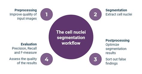 Our Guide To Effective Nuclei Segmentation