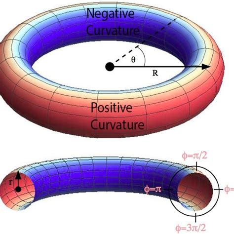Bubbles Between Toroidal Plates Move From Regions Of Minimum Negative Download Scientific