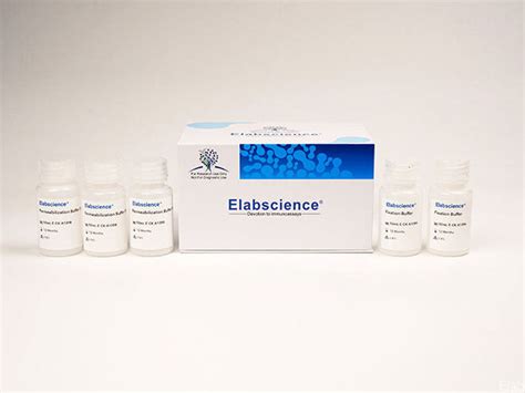 Intracellular Fixation Permeabilization Buffer Kit Mse Supplies Llc