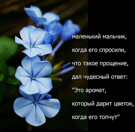 Пин на доске about us - "...жизнь моя видит свет", Иова 33:28