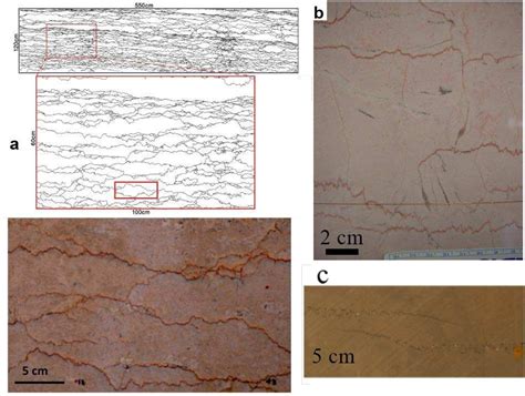Pdf Stylolites A Review