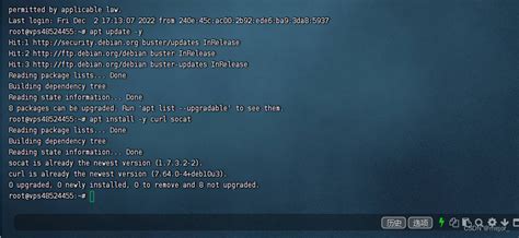 Debian10安装x Ui失败debian 10x Ui安装命令 Csdn博客