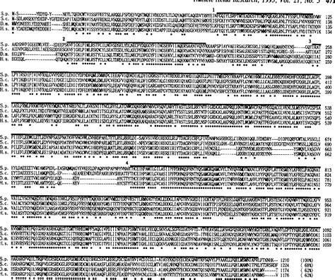 Figure 2 From Cloning And Sequence Determination Of The Schizosaccharomyces Pombe Rpb2 Gene